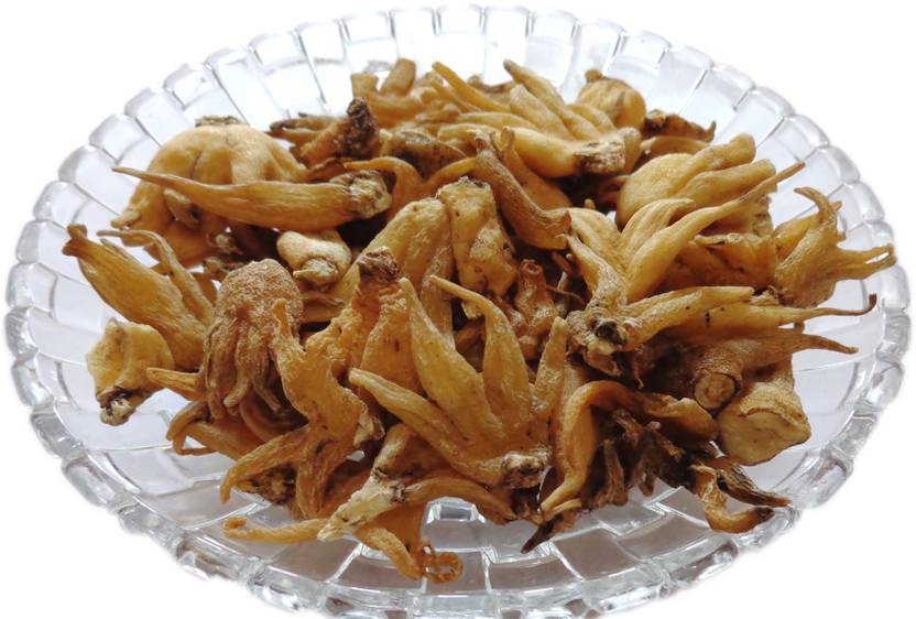 ORGANIC HERBS SALAM PANJA, SALAB PANJA Seed Price in India - Buy ORGANIC HERBS SALAM PANJA ...