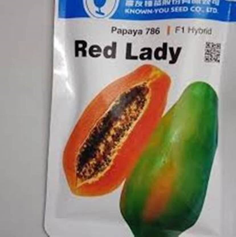 PEARL red lady 786 papaya f1 hybrid (120 Gram Seeds ) Seed Price in India - Buy PEARL red lady ...