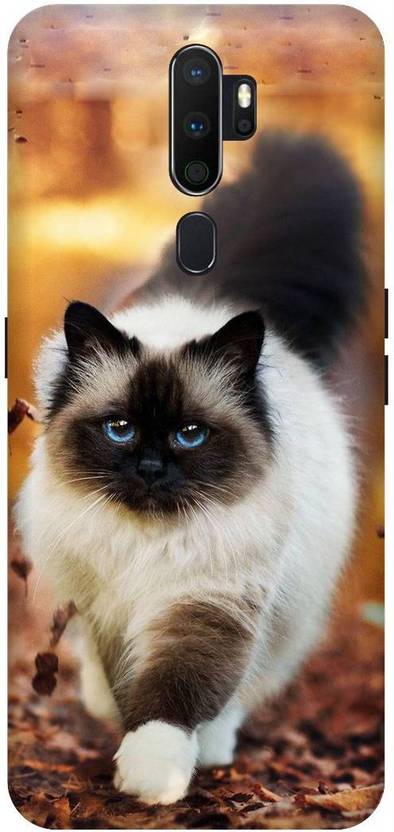 KARJUN Back Cover for OPPO A9 2020 Cat, Cute, Lovely Cat Printed ...