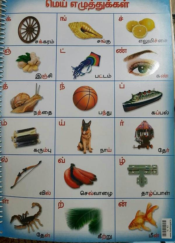 Tamil Letters - A3 Size – G42 – (Set of 1 Posters) Fine Art Print - Art ...