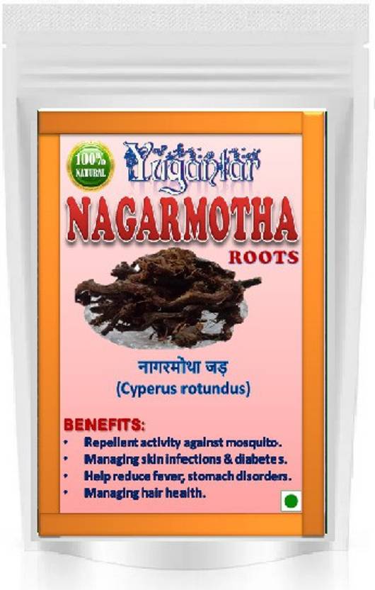 YUGANTAR NAGARMOTHA ROOTS Seed Price in India - Buy YUGANTAR NAGARMOTHA ...