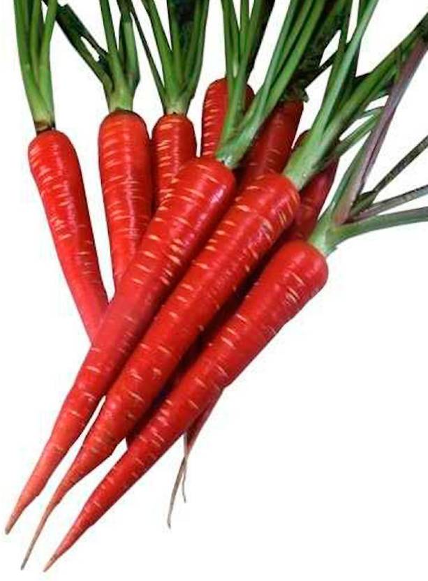 NurseryNature Red Carrot,Lal Gajar Seed Price in India - Buy ...