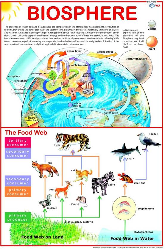 Environment Chart - Biosphere Photographic Paper - Educational posters ...