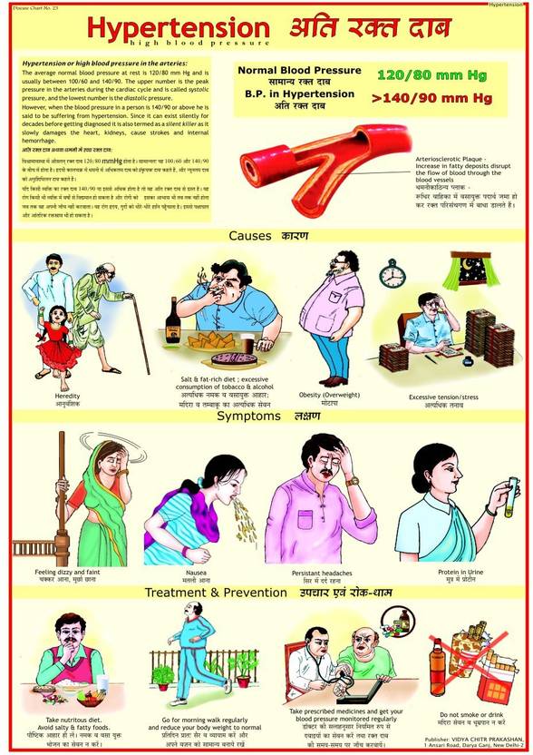 Hypertension Chart Photographic Paper - Educational posters in India ...