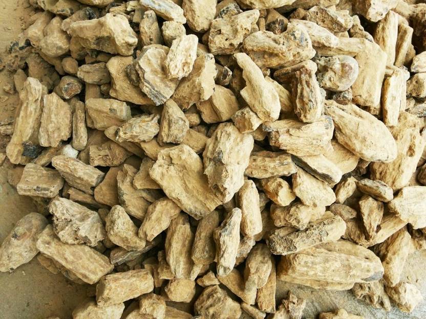 Neal exclusive jhuna or damabattu for sandya alati puja for all types ...