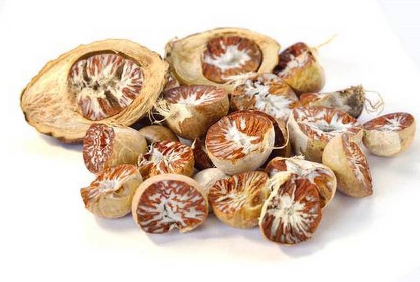 OrchidWala Areca nut,, Betel Nut,, Supari, Shupuri Seed Price in India ...