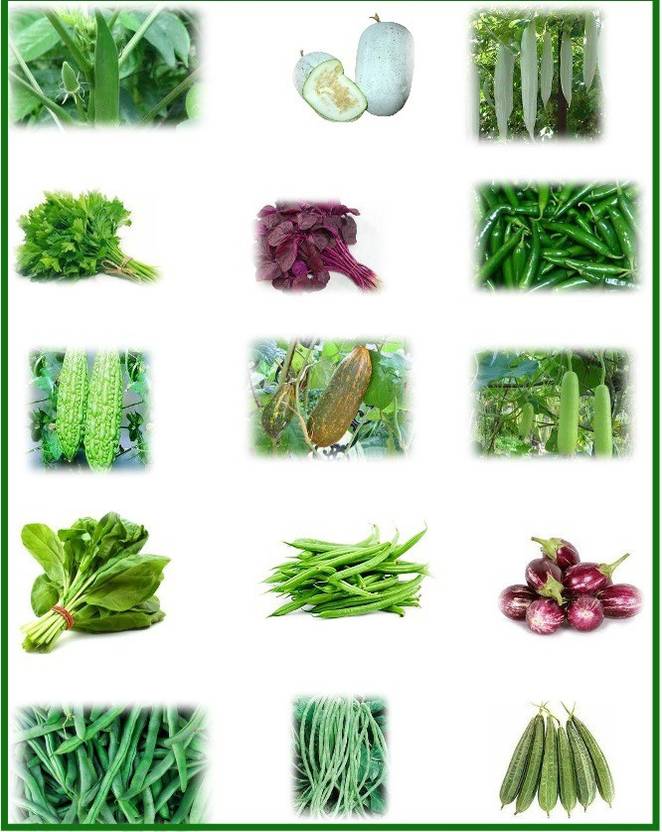 Grameen Vegetable seeds 15 varieties 1800 Seed Price in India - Buy ...