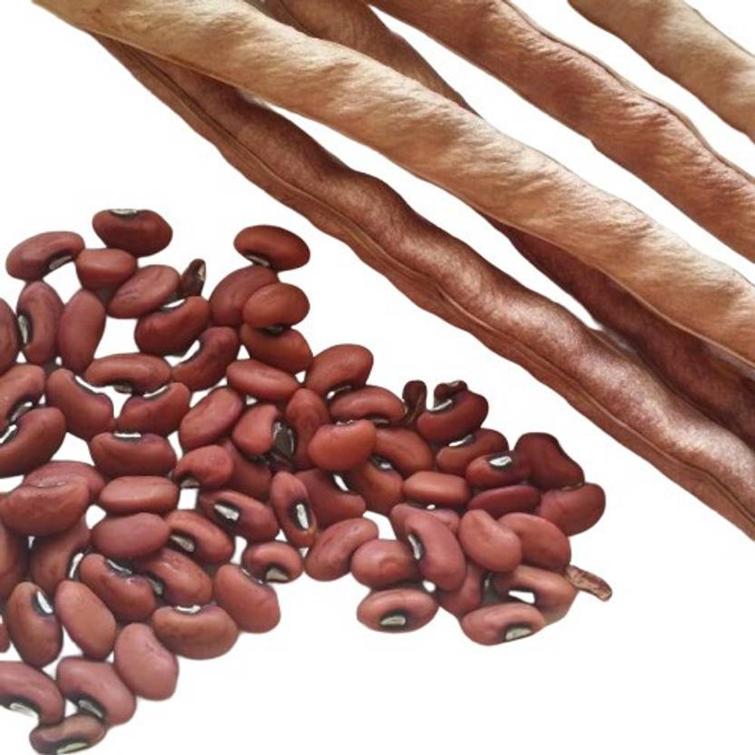 Earth Angels long beans seeds, barbatti seeds hybrid, cowpea seeds Seed ...