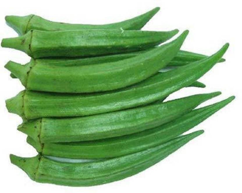 The Entacloo LADY FINGER Seed Price In India Buy The Entacloo LADY the-entacloo-lady-finger-seed-price-in-india-buy-the-entacloo-lady