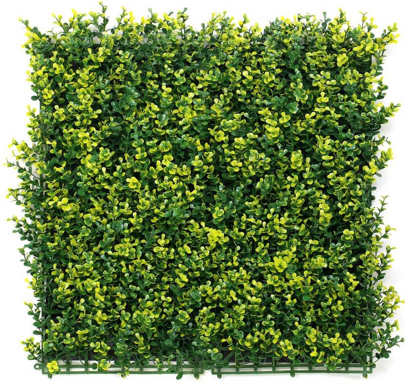 Ilan Artificial Green Wall, Vertical Wall, Garden Home Decor, Premium ...