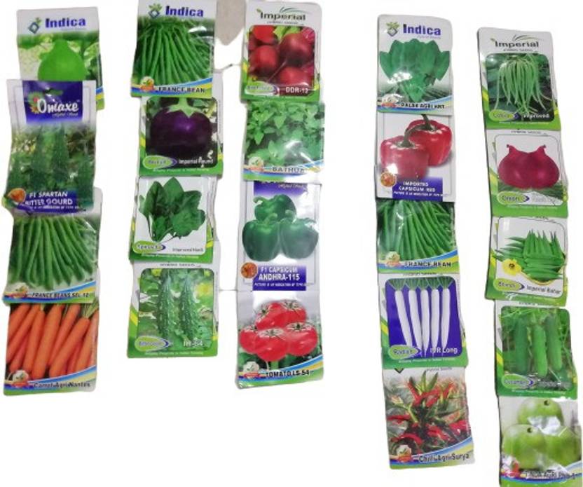 Greenery Vegetable seeds combo, Seeds for terace and garden, average 20 ...