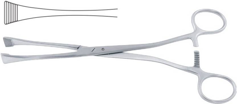 REVITI Green armitage forceps surgical instrument 8 inch - 20 cm Tissue ...