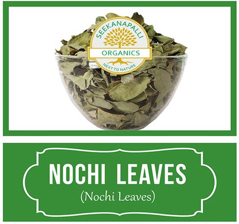 Seekanapalli Nochi White Leaves 100 g Unflavoured Herbal Tea Pouch ...