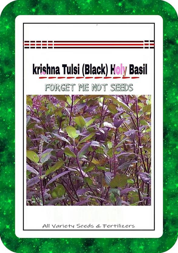SEDRO ™ VXI-393-krishna tulsi seeds (Black) Holy Basil Seed Price in ...
