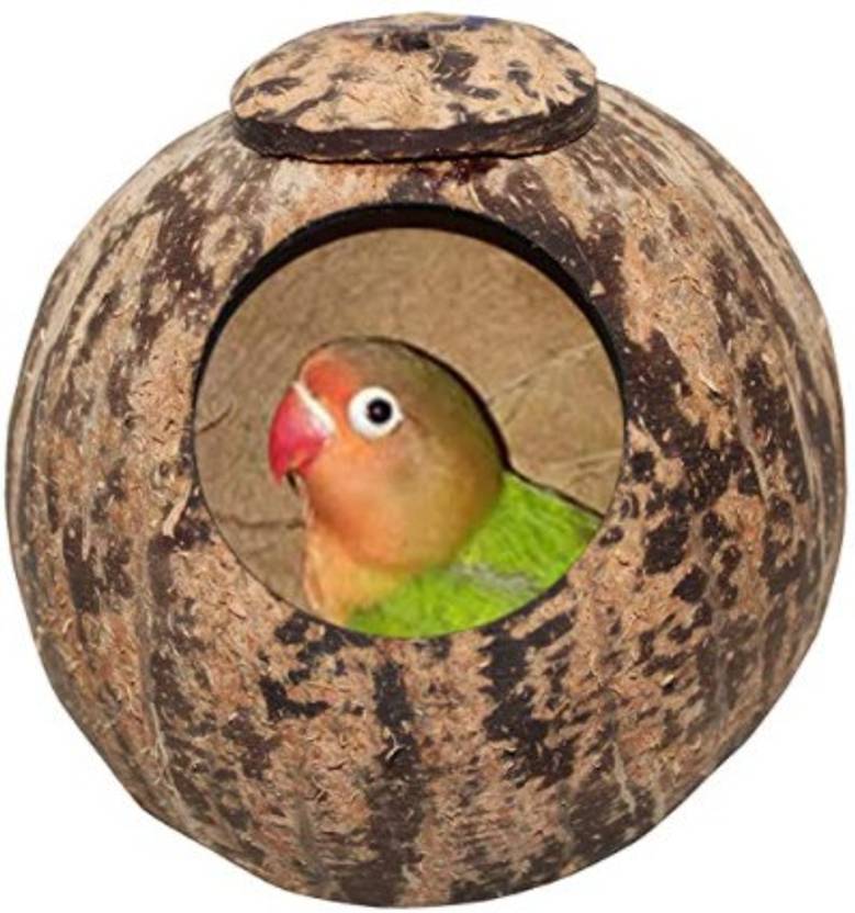 KAPOOR PETS Natural Coconut Shell Bird Nest for Finches and Sparrows ...