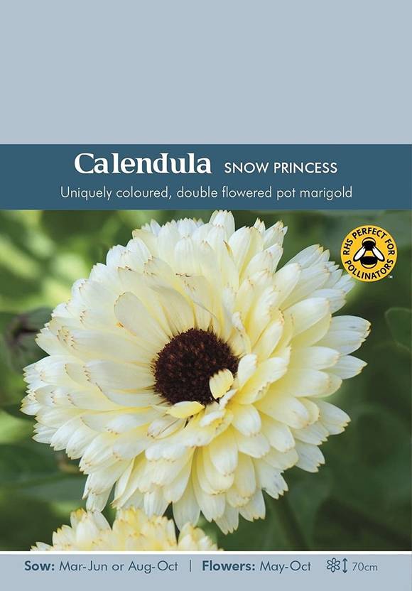 CYBEXIS Hybrid Calendula Sunset Buff seeds Seed Price in India - Buy ...