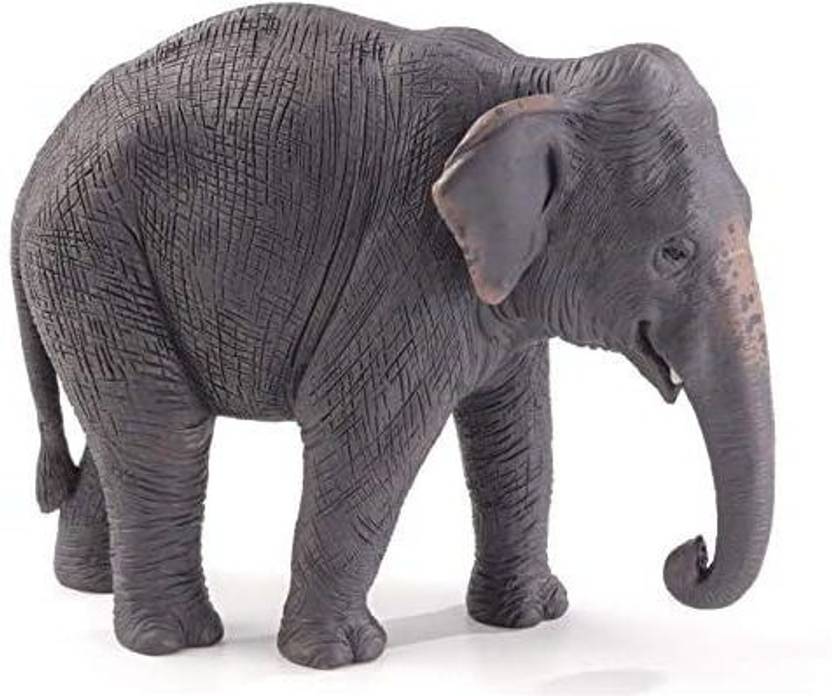 Mojo Asian Elephant Animal Model Toy Figure - Asian Elephant Animal ...