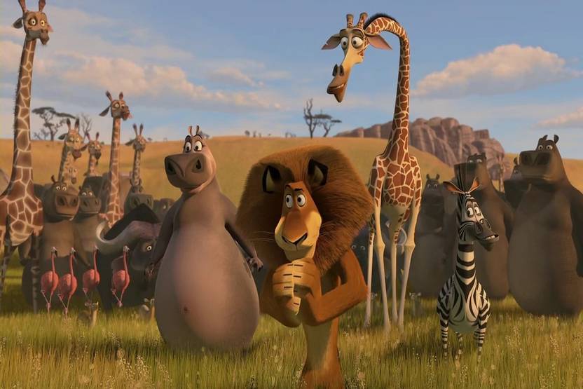 Cartoon Madagascar Sticker Poster | Animals Poster|Poster for Kids Room ...