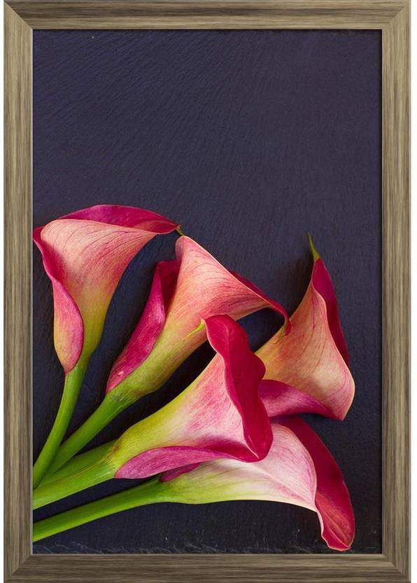Calla Lilly Paper Poster Antique Golden Frame | Top Acrylic Glass ...