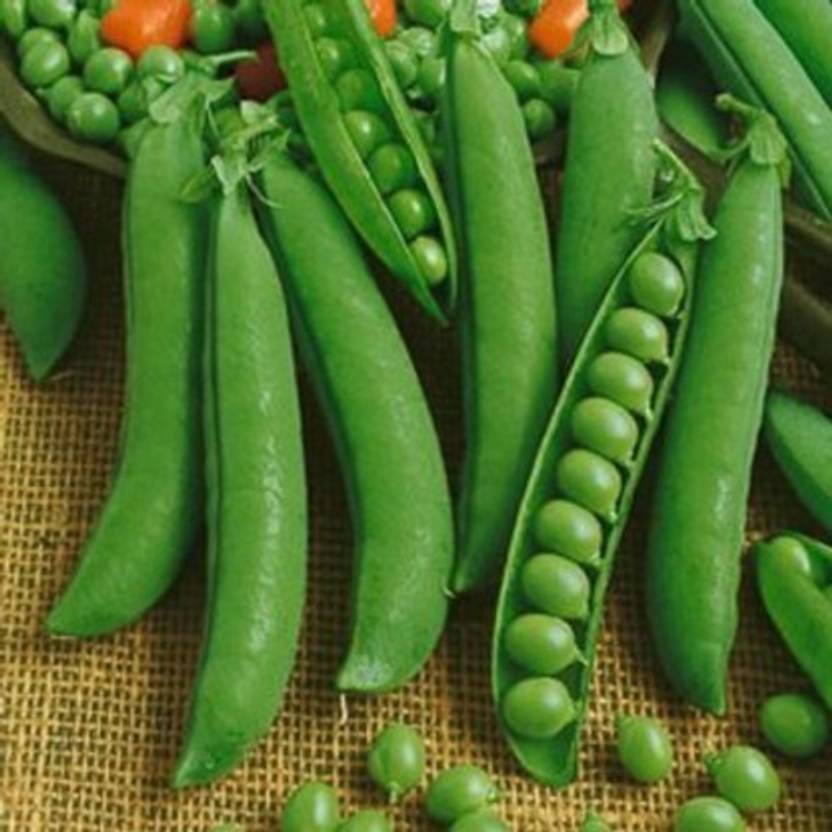 Green Garden Hybrid Green Peas Matar Seed( 260 Seeds ) Seed Price in ...