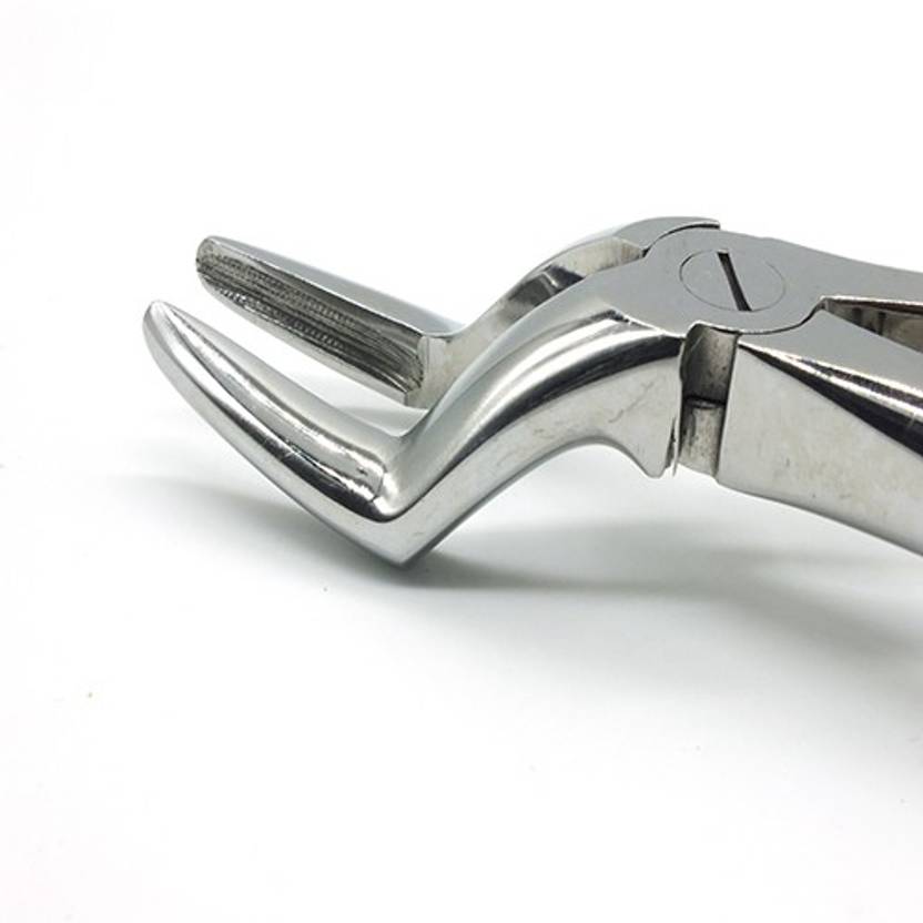 ADDLER Dental Upper Root Forcep Bayonet 51A Serrated Handle. Rust Free ...