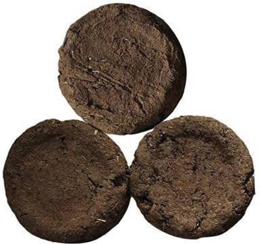 Fangtooth Gobar Ka Upla (Cow Dung) Kanda for Hawan,Pujan & Religious ...