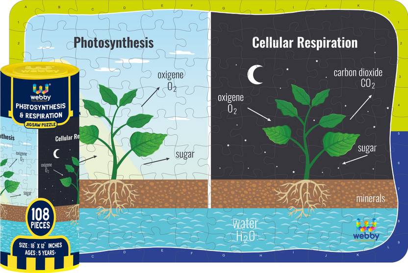 Webby Photosynthesis & Respiration Jigsaw Puzzle, 108 Pieces ...