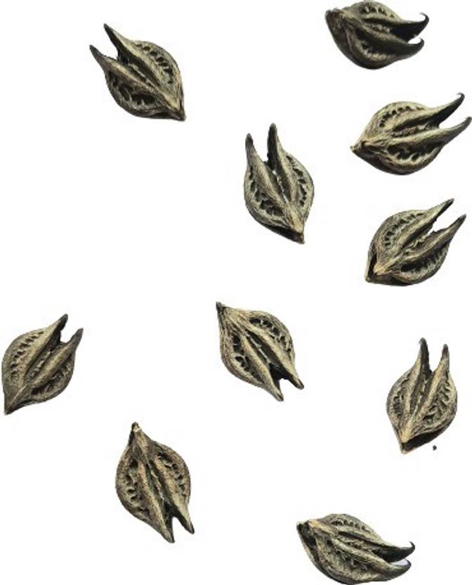 CooPany Bichhu Phal ,Martynia Annua , Evil Pod seeds Seed Price in ...