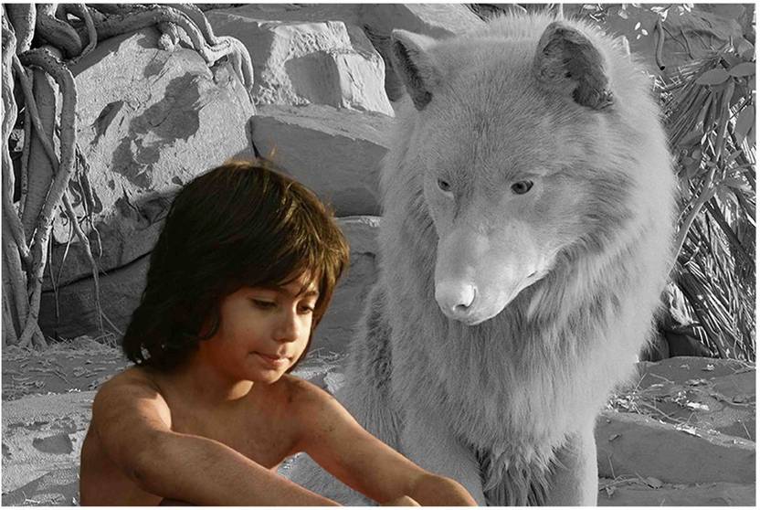 The Jungle Book Wolf Poster | Wall Sticker | Wall Décor | Sticker ...