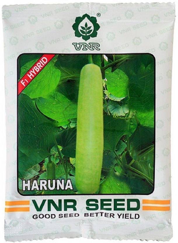 VNR SEEDS Bottle Gourd Seeds, Haruna 10 gm Seed Price in India - Buy ...