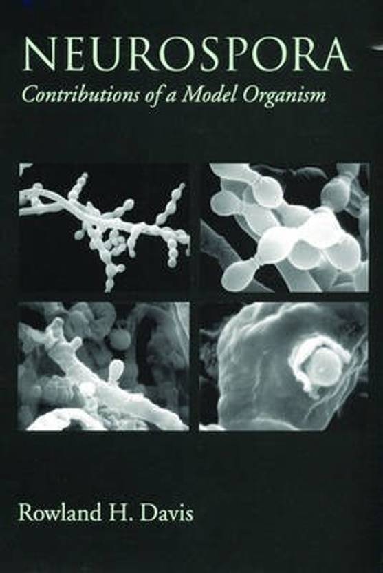 Neurospora: Buy Neurospora by Davis Rowland H. at Low Price in India ...