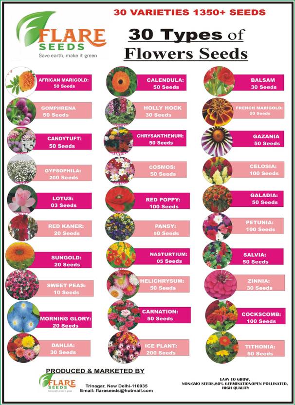 FLARE SEEDS 30 Types Of Flower Seeds Seed Price in India - Buy FLARE ...