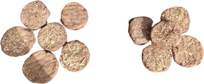 Corofitam Cow Dung/Upla/Kande/Cake/Gober Made In Cow Gober Price in ...