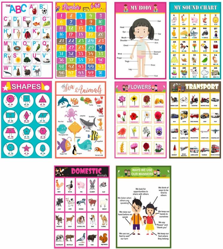 ABC , Numbers, Body Parts, Sounds, Shapes, Sea Animals, Flowers ...