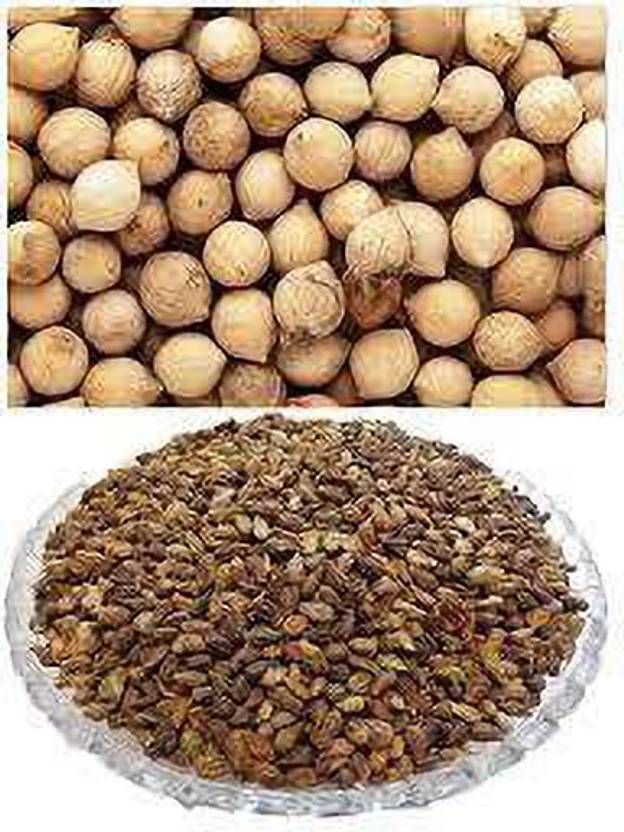 Nature Green PUTRAJEEVAK BEEJ, JIYA POTA SEEDS, PUTRA JIVAK BEEJ, PUTRA ...