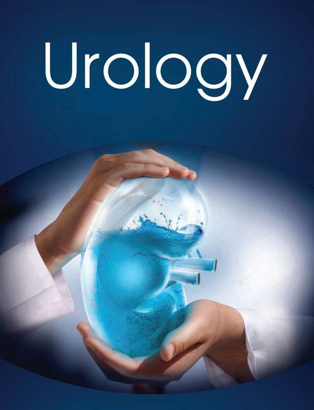 Urinary System Wall Poster Urinary Anatomy Poster Clinic Poster Paper ...