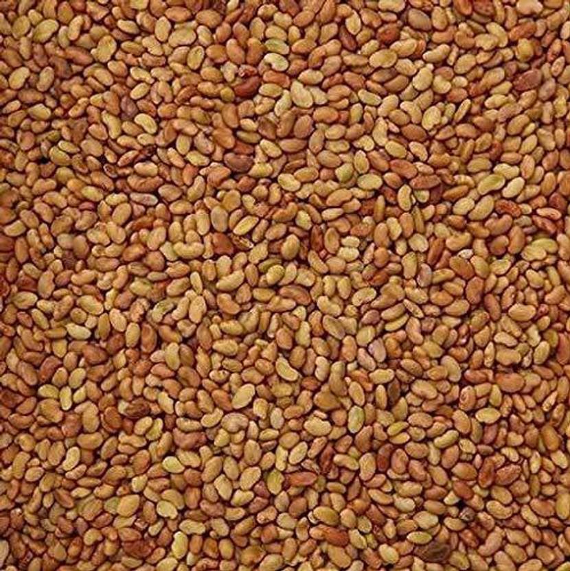 Saisha International Alfalfa/Lucerne/Medicago Sativa/Lucerne Grass ...