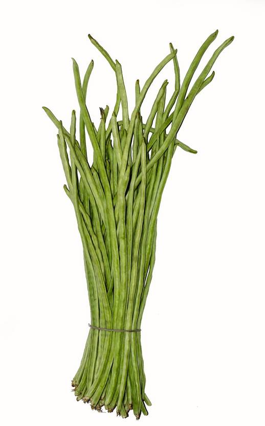 Planthub Long Beans Kashi Kanchan Barbati, Cowpea Vegetable Seed Seed ...
