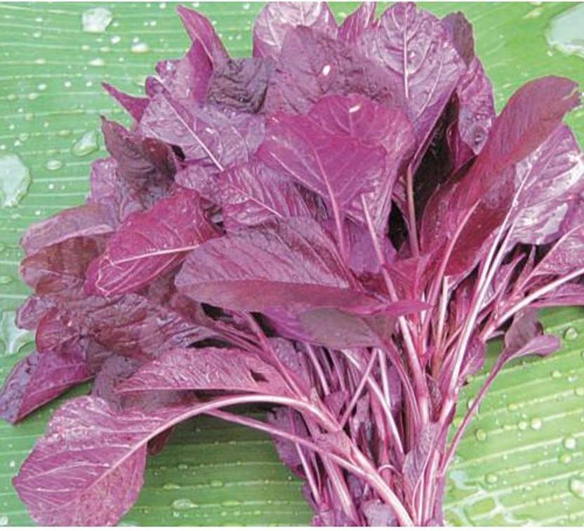 Laddu Gopal RED CHOLAI SEEDS Seed Price in India - Buy Laddu Gopal RED ...