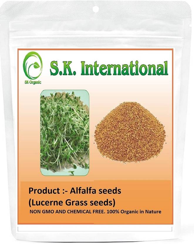 Sk Organic Alfalfa Seeds Non Gmo 1 Kgs Lucerne Grass Seeds For Sprouting And Cultivation