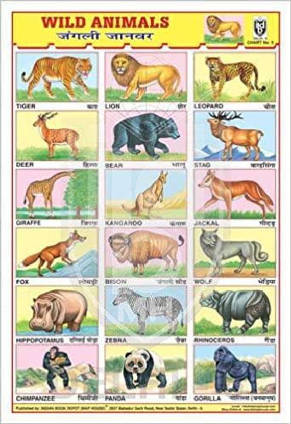 WILD ANIMALS CHART [Wall Chart] BOOK DEPOT (MAP HOUSE) Paper Print ...
