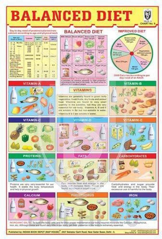 BALANCED DIET CHART [Wall Chart] BOOK DEPOT (MAP HOUSE) Paper Print ...