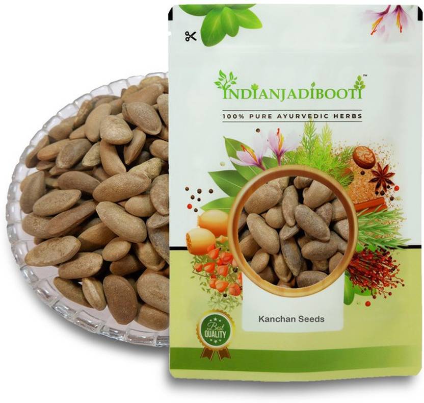 IndianJadiBooti Kanchan champak Michelia Champaca Seeds, 250 Grams Pack ...