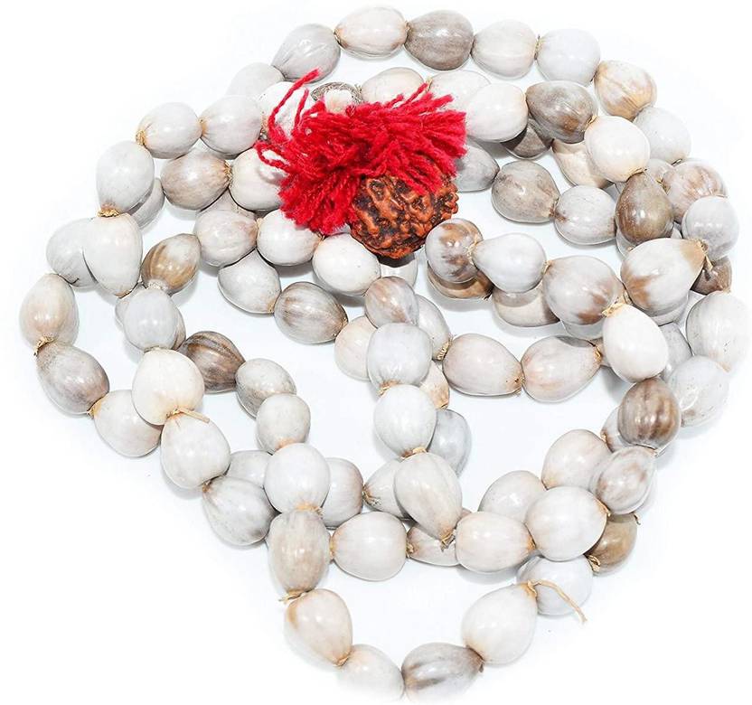 Raviour Lifestyle Natural Vaijayanti Mala 108+1 Beads Original ...