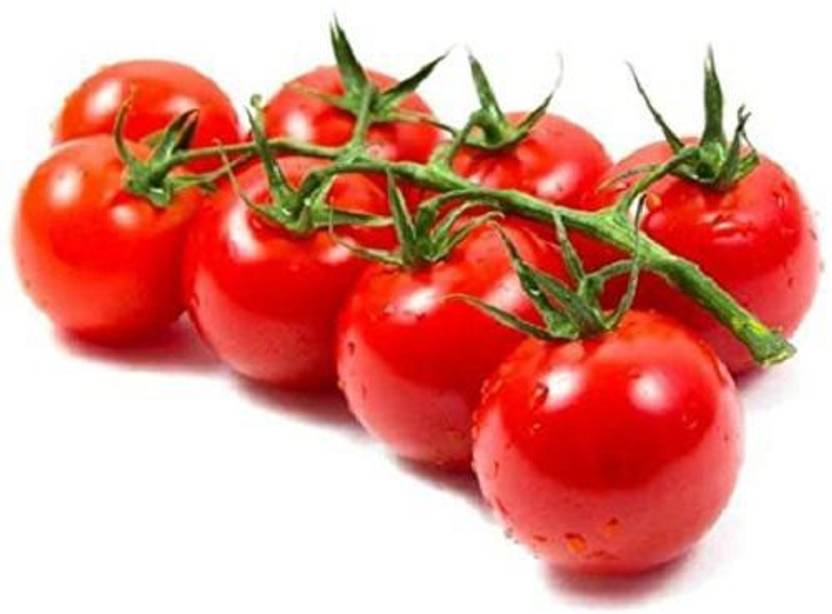LYRS Hybrid Tomato / Tamatar Seeds Seed Price in India - Buy LYRS ...