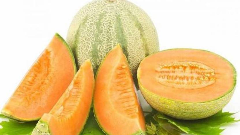 V Seed Natural Organic Kharbuj / Musk Melon Seed Seed Price in India ...