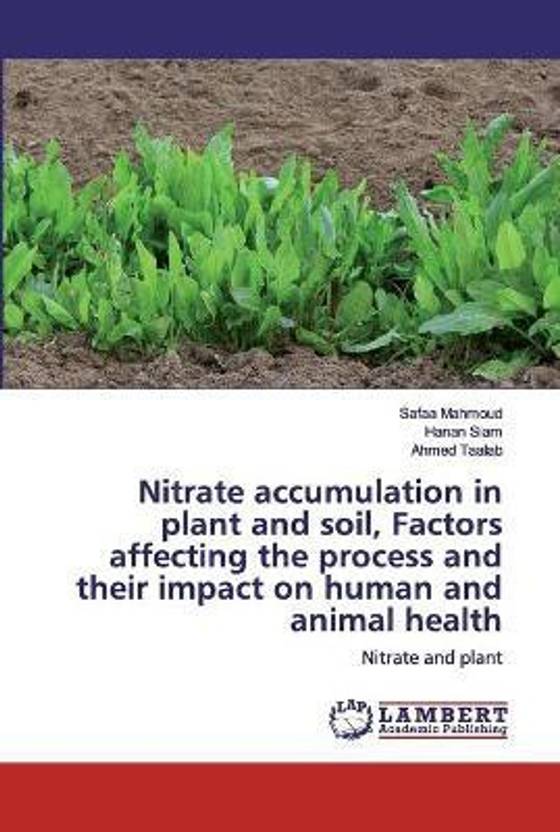 Nitrate accumulation in plant and soil, Factors affecting the process ...