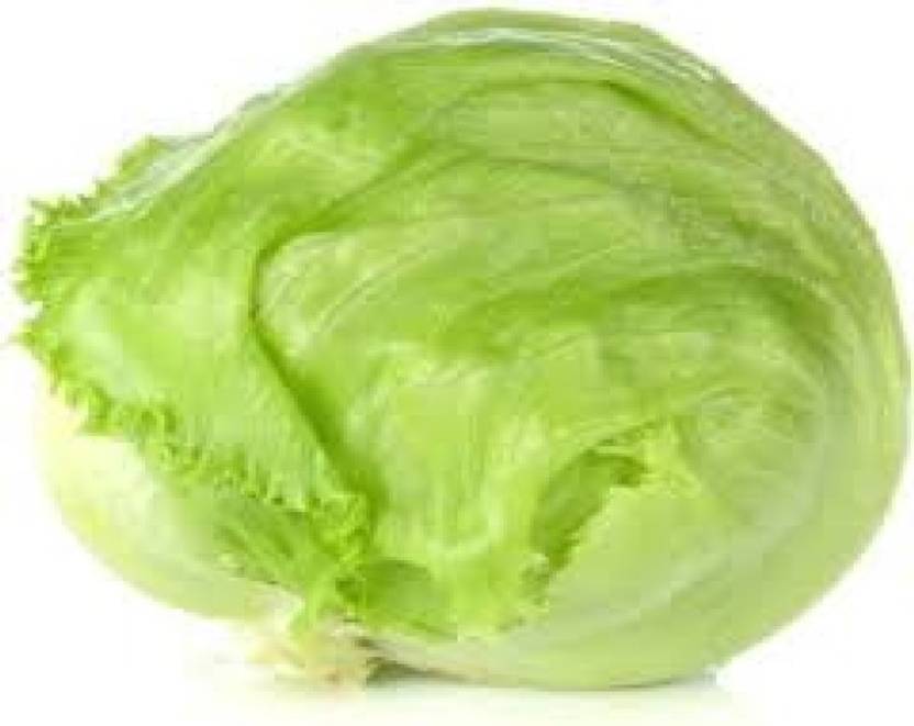 GROUNDOXY LETTUCE (SALAD PATTA) L85 SEED GOOD HYBRID SEED FOR YOUR HOME ...