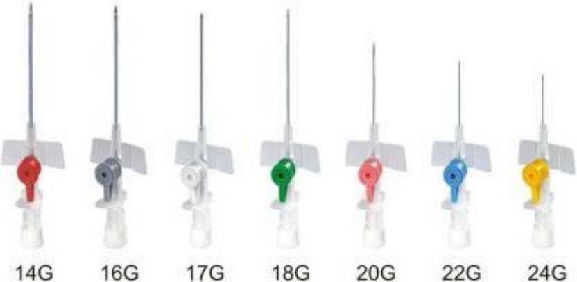 HEALTHCARE Cannula PK 5-12 G14 G16 G17 G18 G20 G22 G24 Intravenous ...