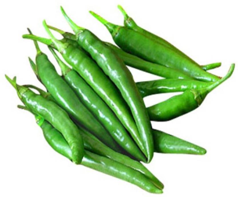 GROUNDOXY C62 ORGANIC CHILLI (MIRCHI) SEED SUPERIOR QUALITY HYBRID ...